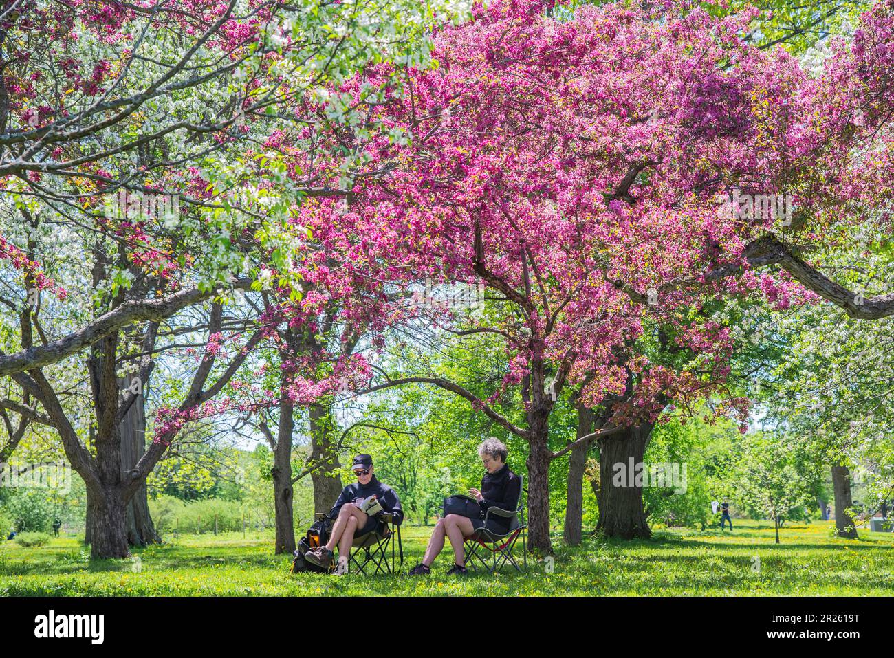 Montreal spring hi-res stock photography and images - Alamy