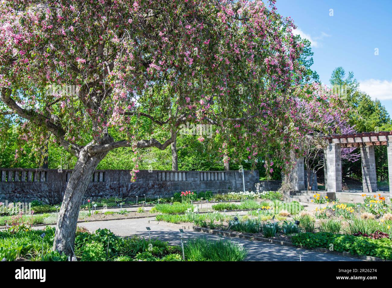 Montreal, Canada - May 14 2023: Colorful garden and Blossom flowers in ...