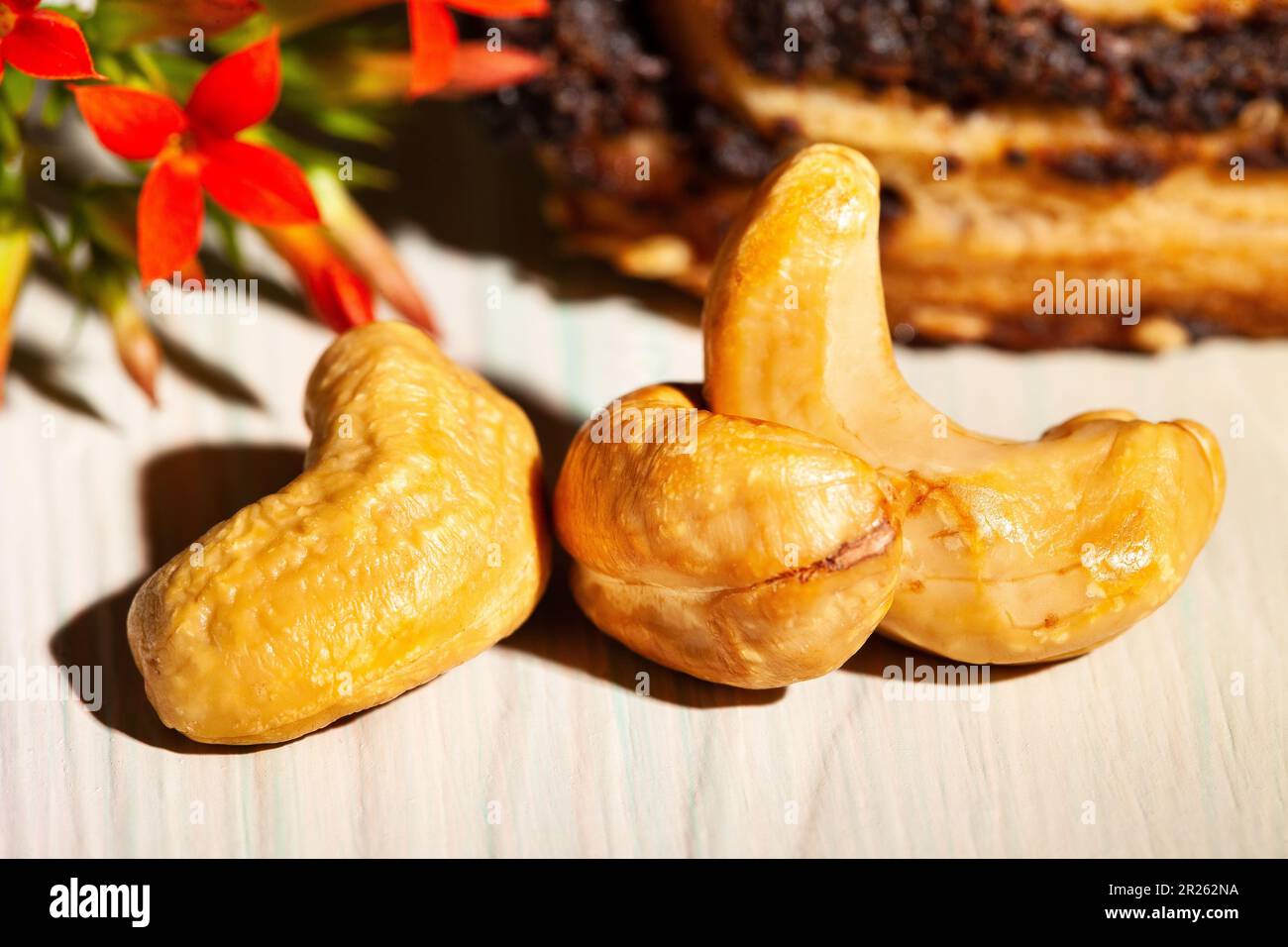 Cashew nut flower hi-res stock photography and images - Alamy