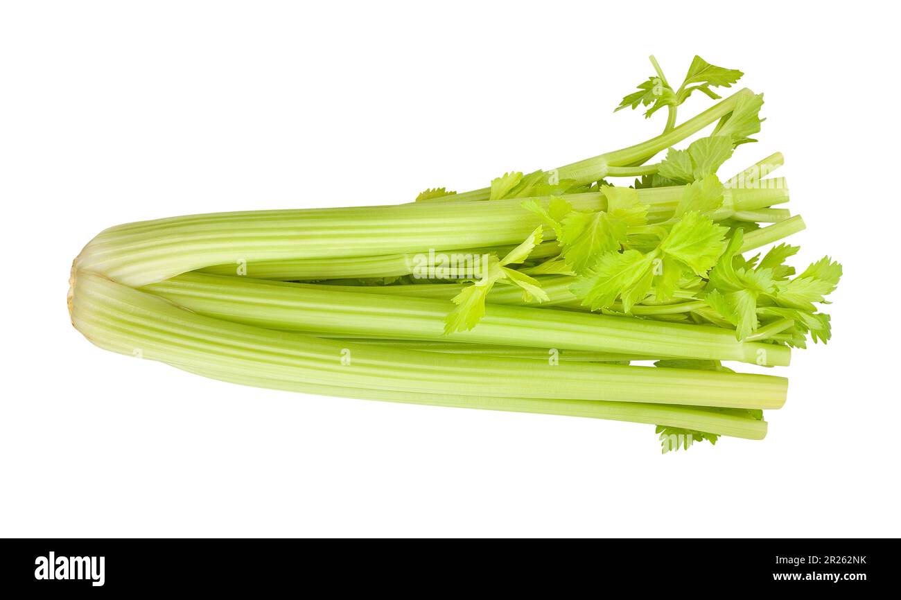 Celery stalk hi-res stock photography and images - Alamy