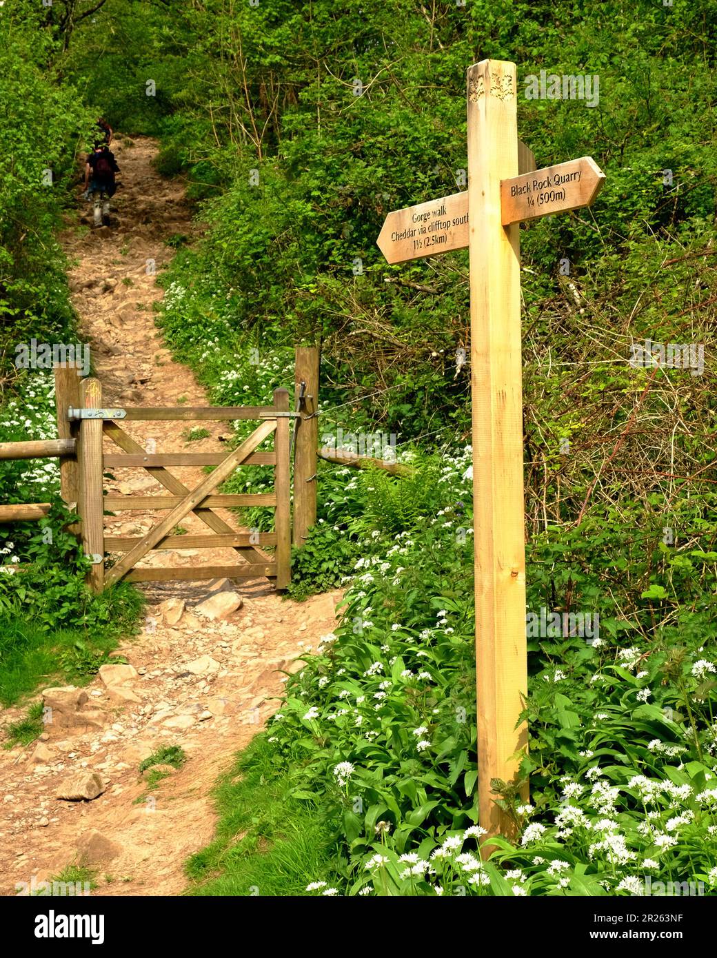 May 2023 - Walking route sign around Black Rock, Cheddar Gorge ...