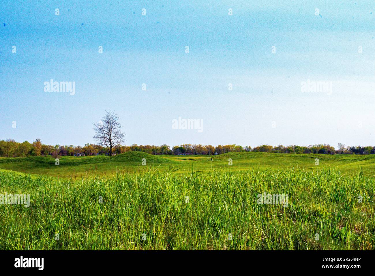 Picture of beautiful landscapes and trails with beautiful greenery ...