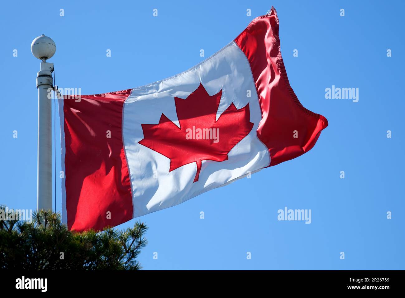 4k high definition animation realistic hi-res stock photography and images - Alamy