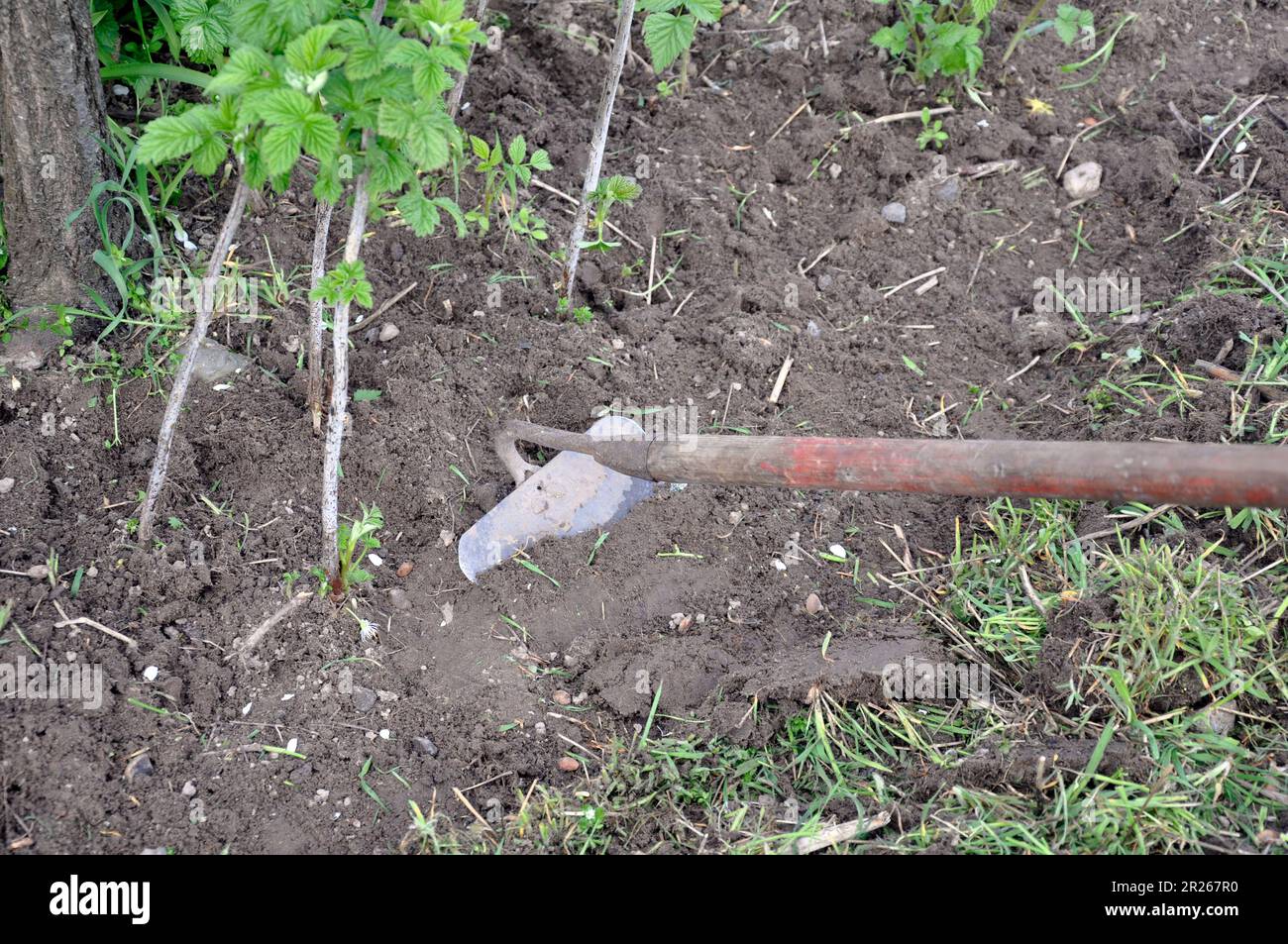 Hoe loosening soil hi-res stock photography and images - Alamy