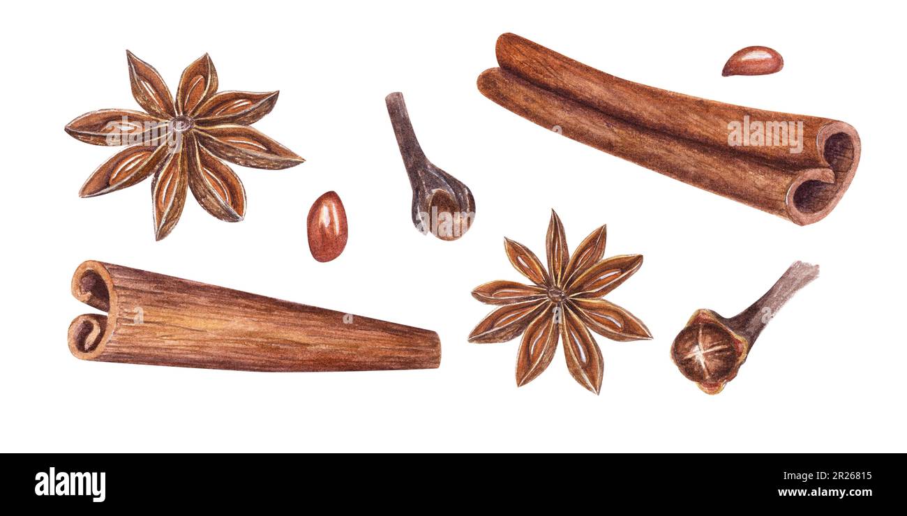 Watercolor set of cinnamons, star anise and cloves isolated on white ...