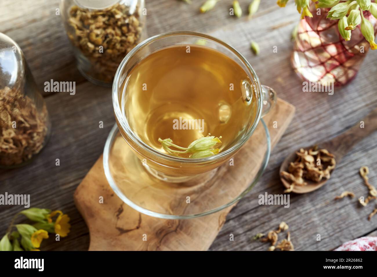 Cowslip primula tea fresh hi-res stock photography and images - Alamy
