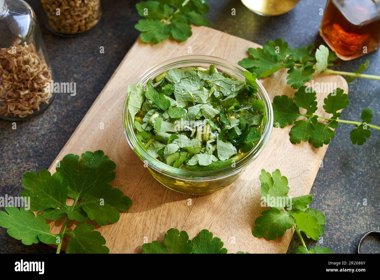Preparation of medicinal wine from fresh greater celandine or ...