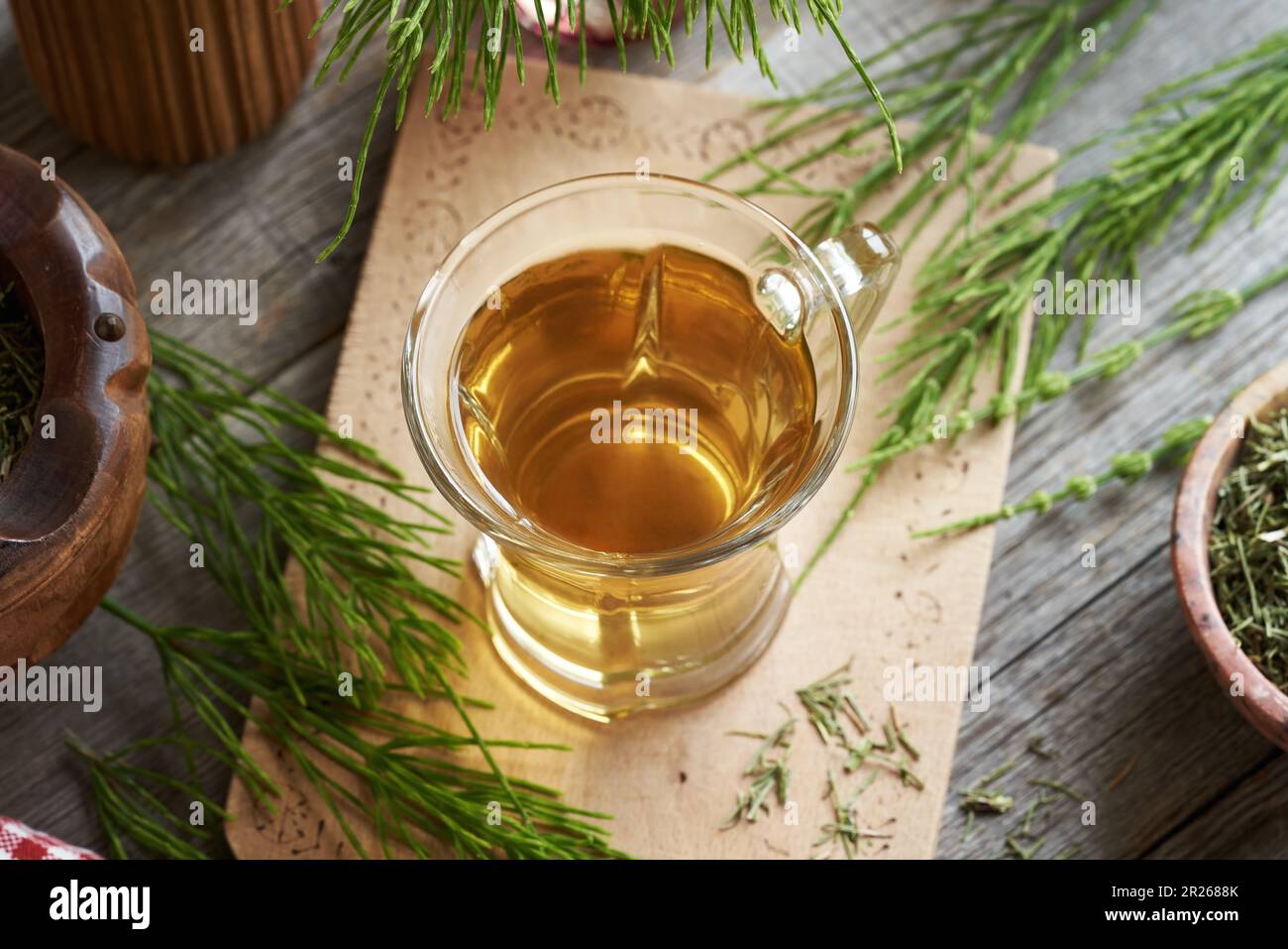 A cup of horsetail tea with fresh Equisetum arvense plant Stock Photo ...