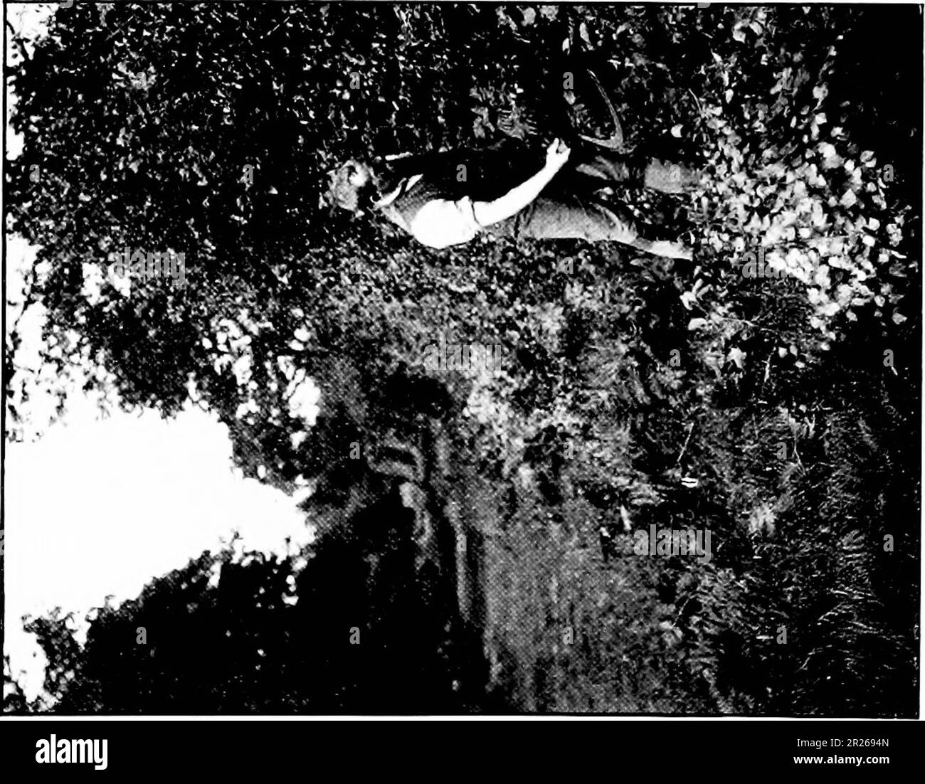 "Ten years of game-keeping" (1910 Stock Photo - Alamy