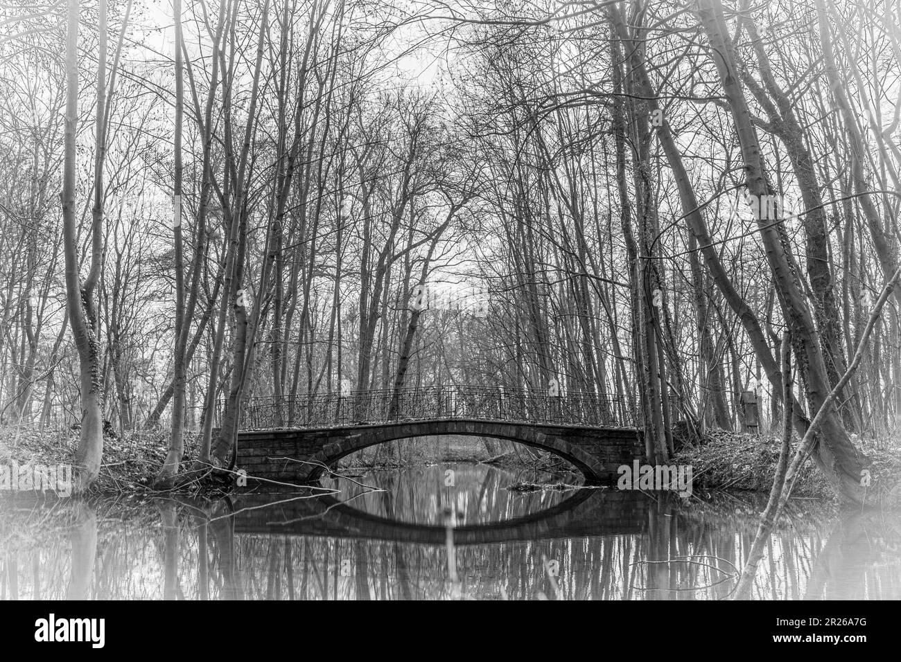 old bridge leads over small pond. The whole bridge is covered with ...