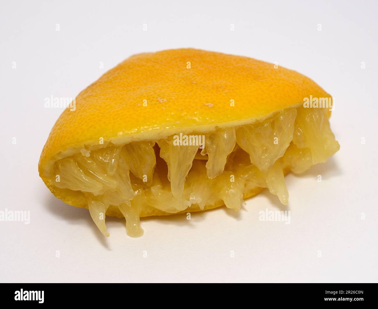 half a squeezed lemon on a neutral background Stock Photo - Alamy