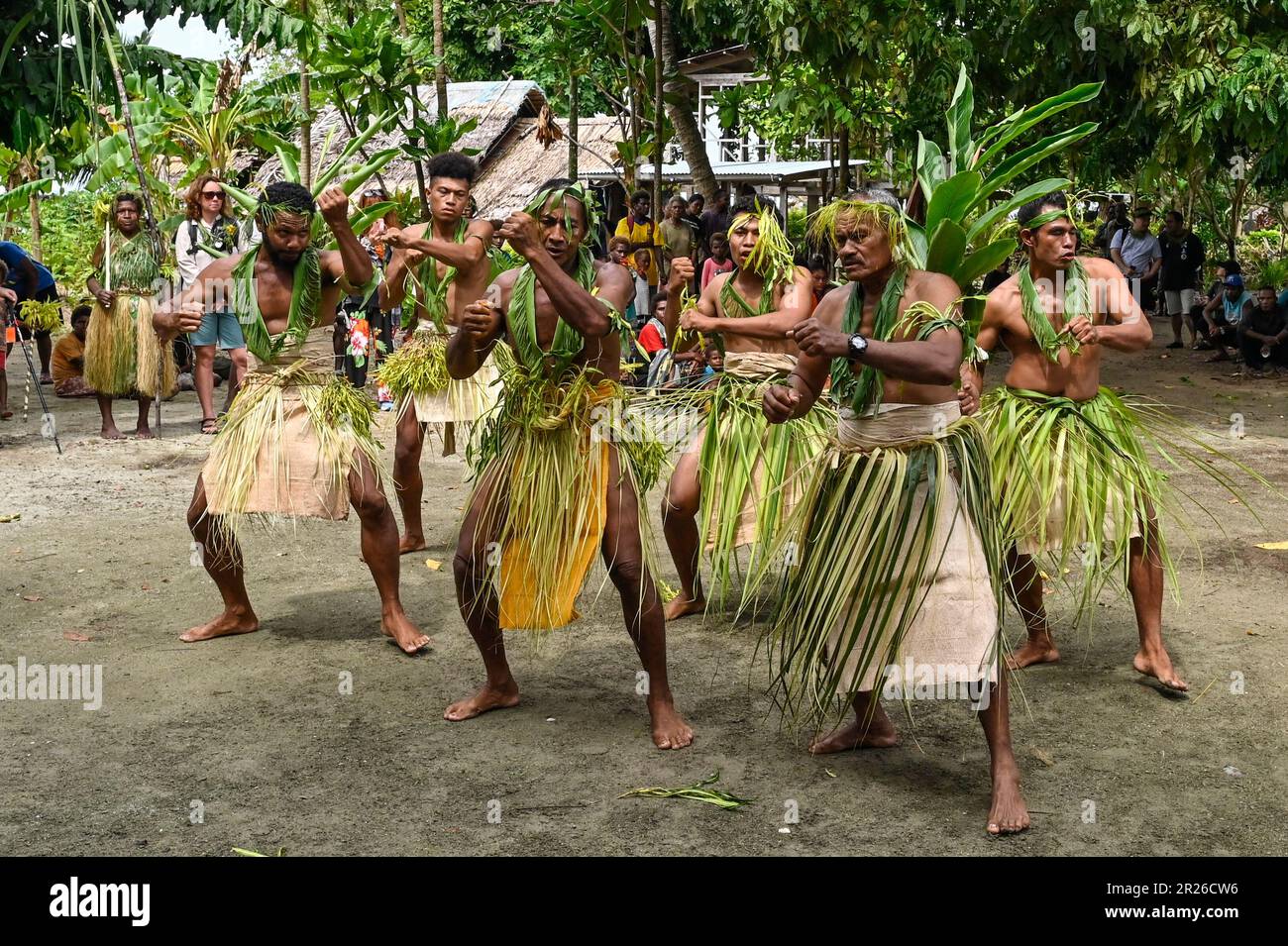 The traditional dances of the indigenous people on Utupua Island in the ...