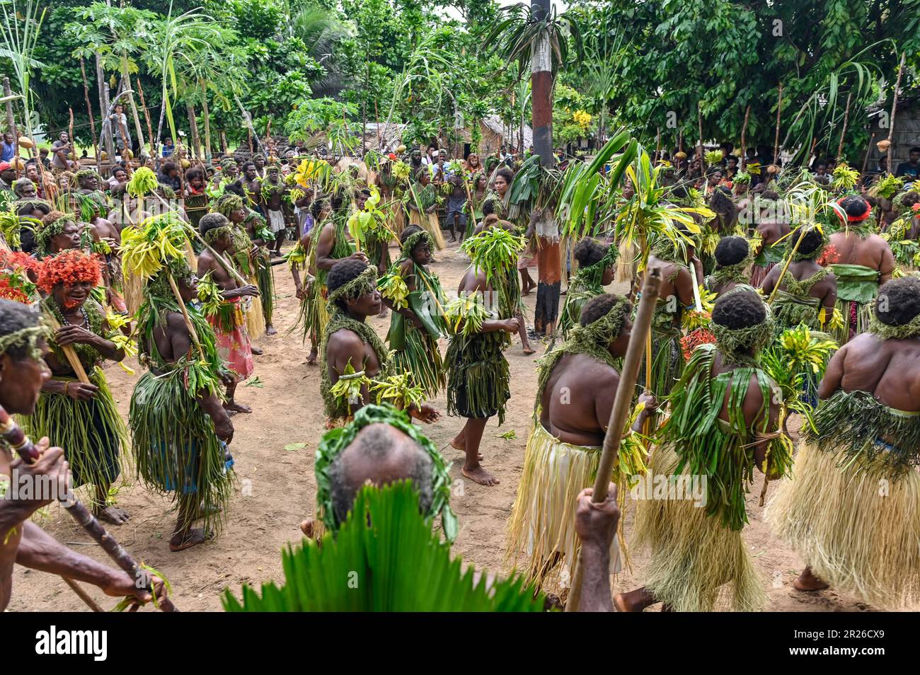The traditional dances of the indigenous people on Utupua Island in the ...