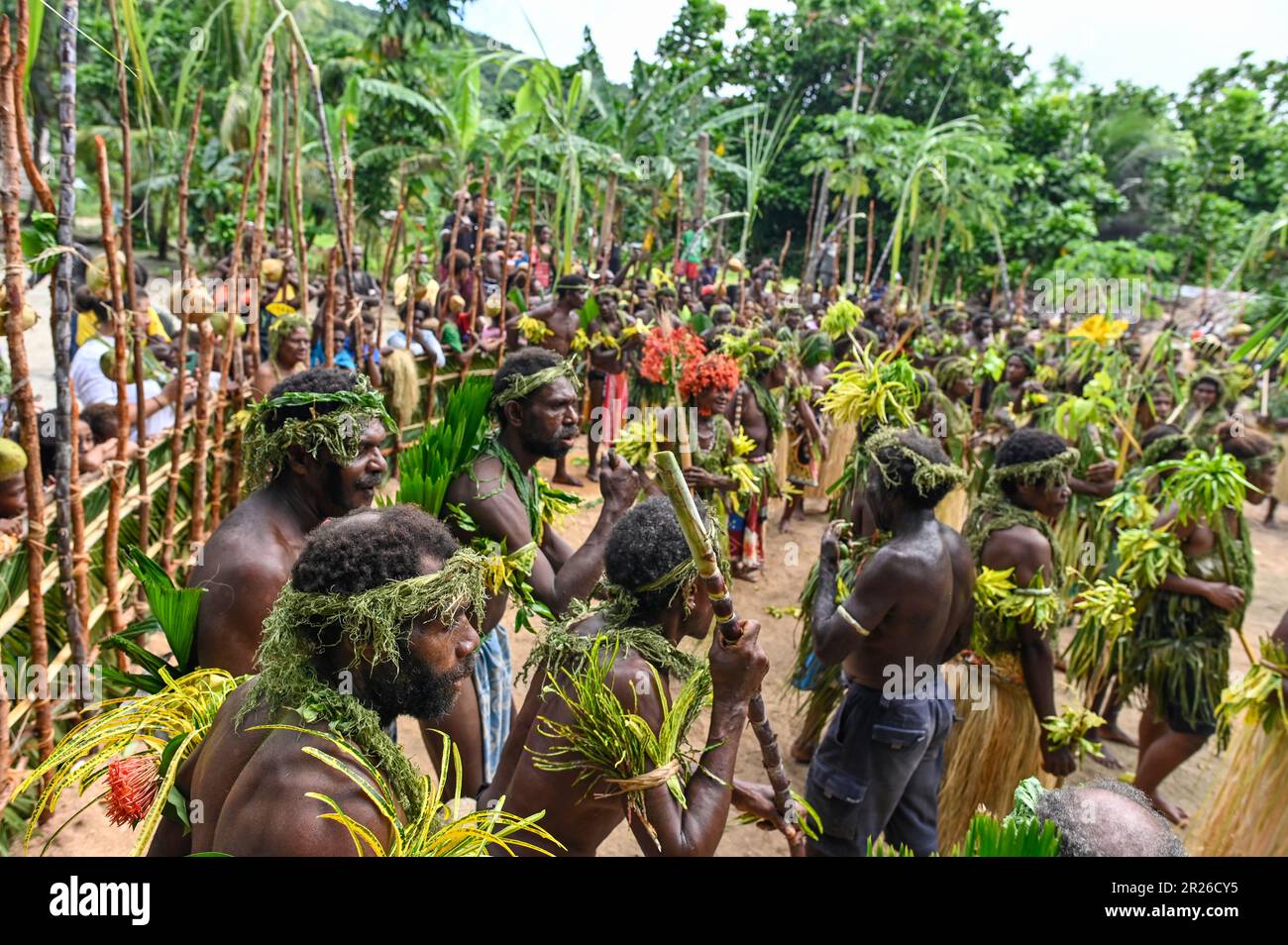 The traditional dances of the indigenous people on Utupua Island in the ...