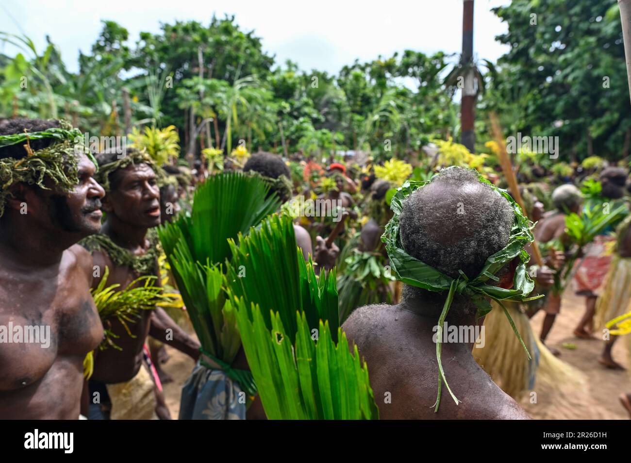 The traditional dances of the indigenous people on Utupua Island in the ...