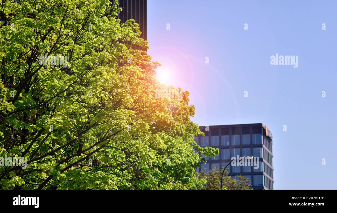 Reflection of modern commercial building on glass with sunlight. Eco ...