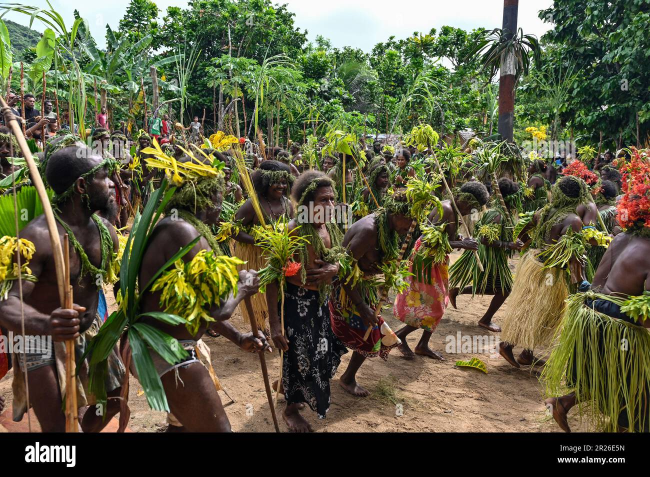 The traditional dances of the indigenous people on Utupua Island in the ...