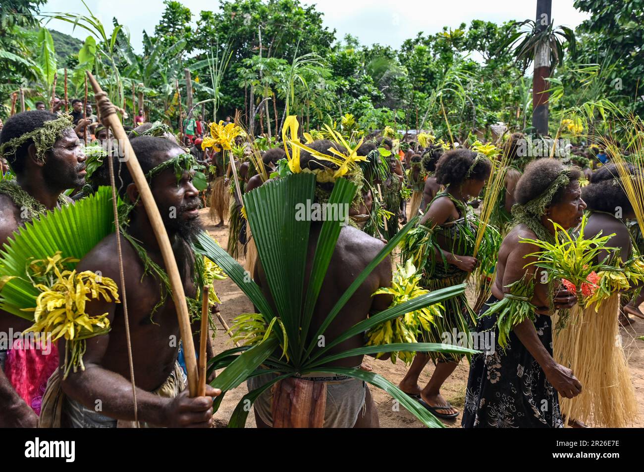 The traditional dances of the indigenous people on Utupua Island in the ...