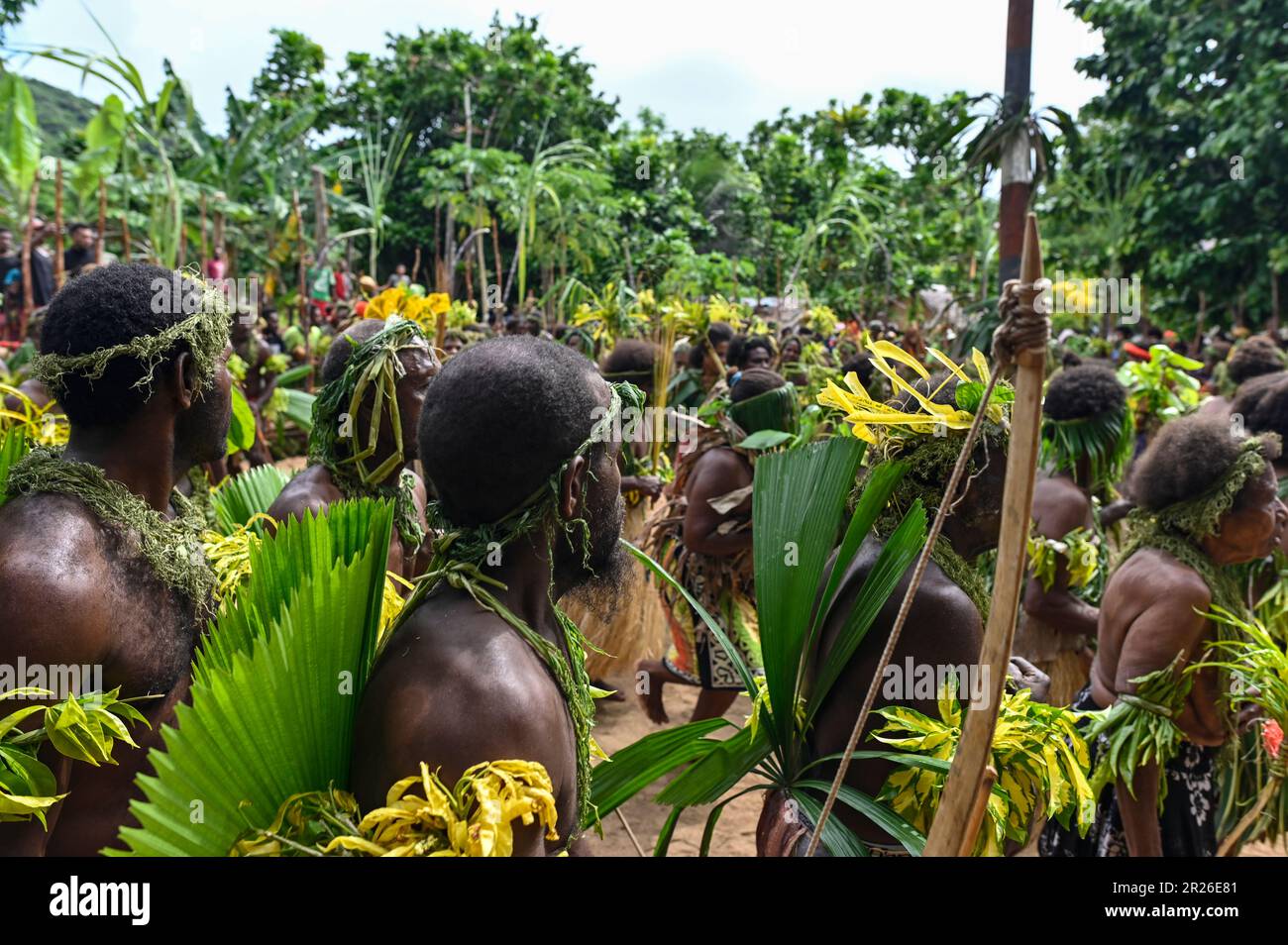 The traditional dances of the indigenous people on Utupua Island in the ...