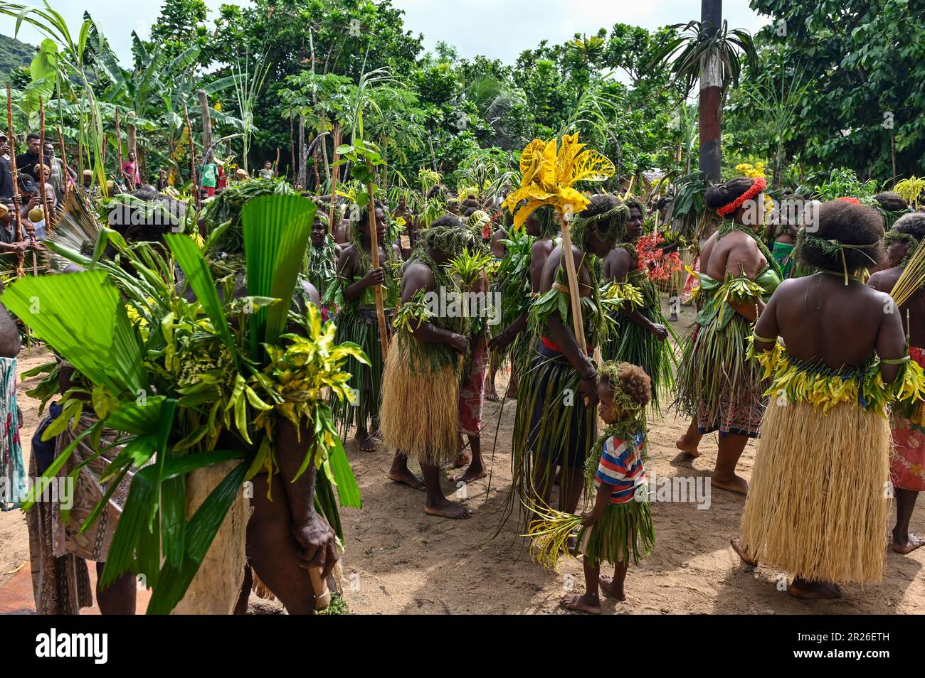 The traditional dances of the indigenous people on Utupua Island in the ...