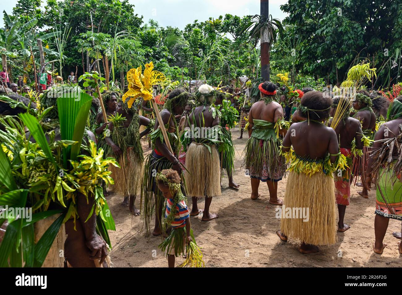 The traditional dances of the indigenous people on Utupua Island in the ...