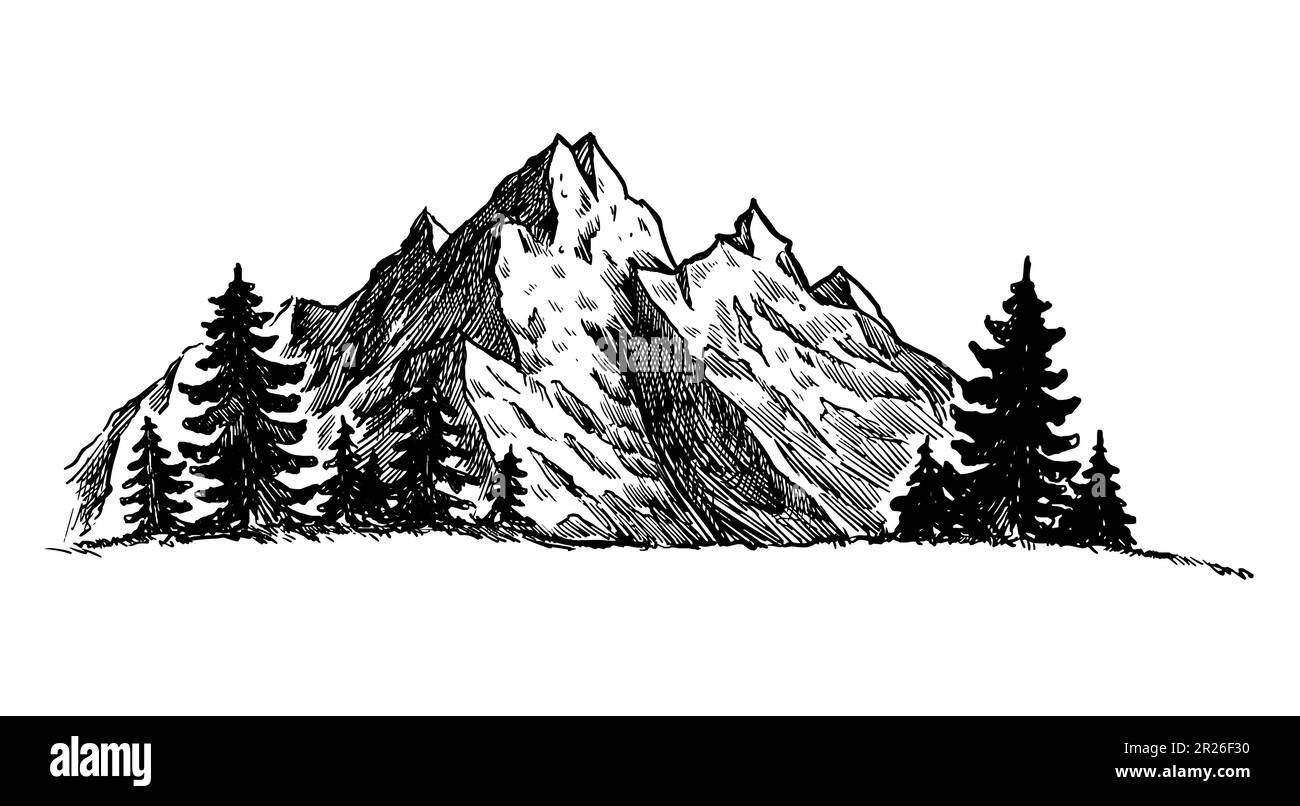 Mountain with pine trees and landscape black on white background. Hand ...