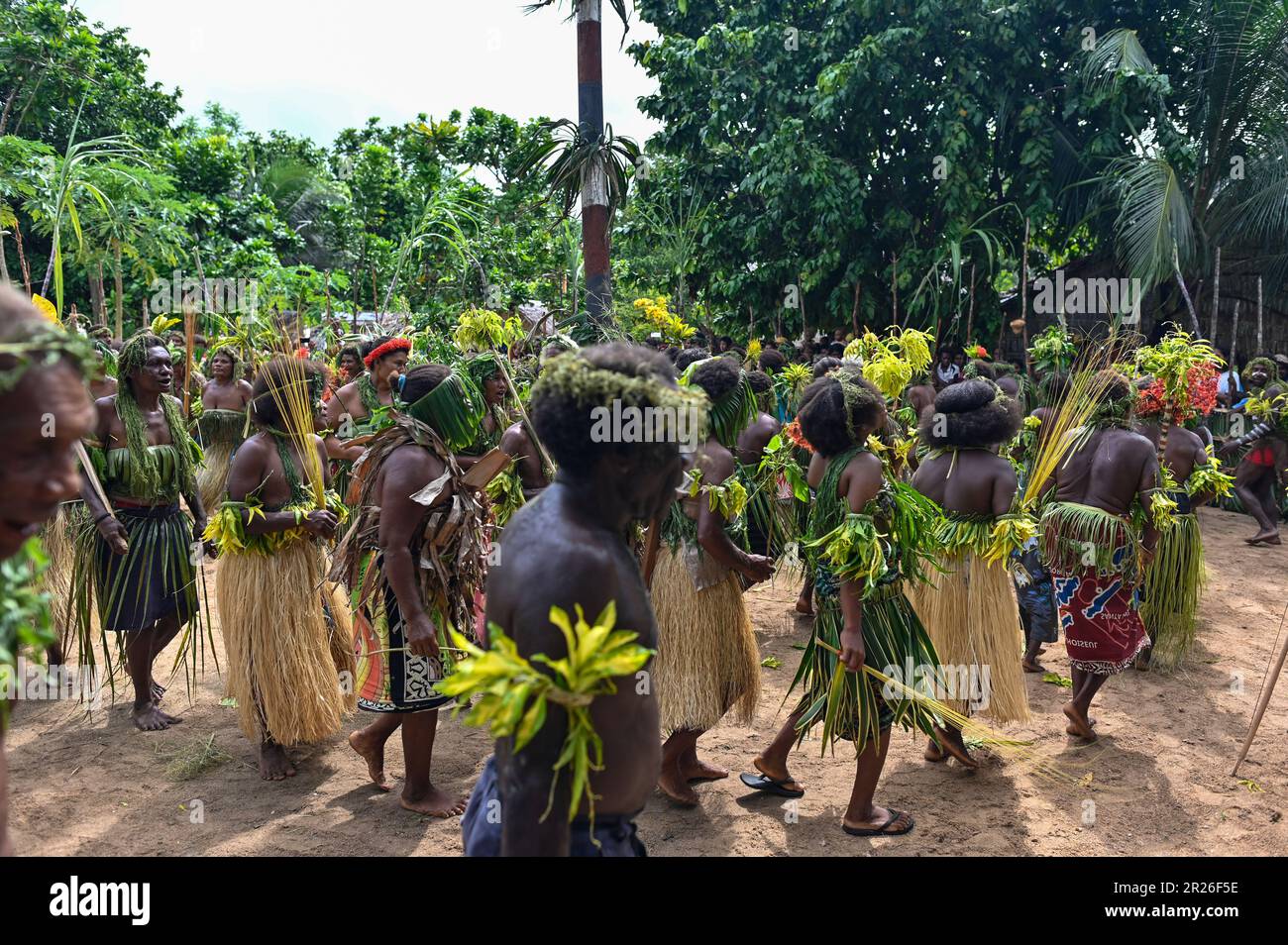 The traditional dances of the indigenous people on Utupua Island in the ...