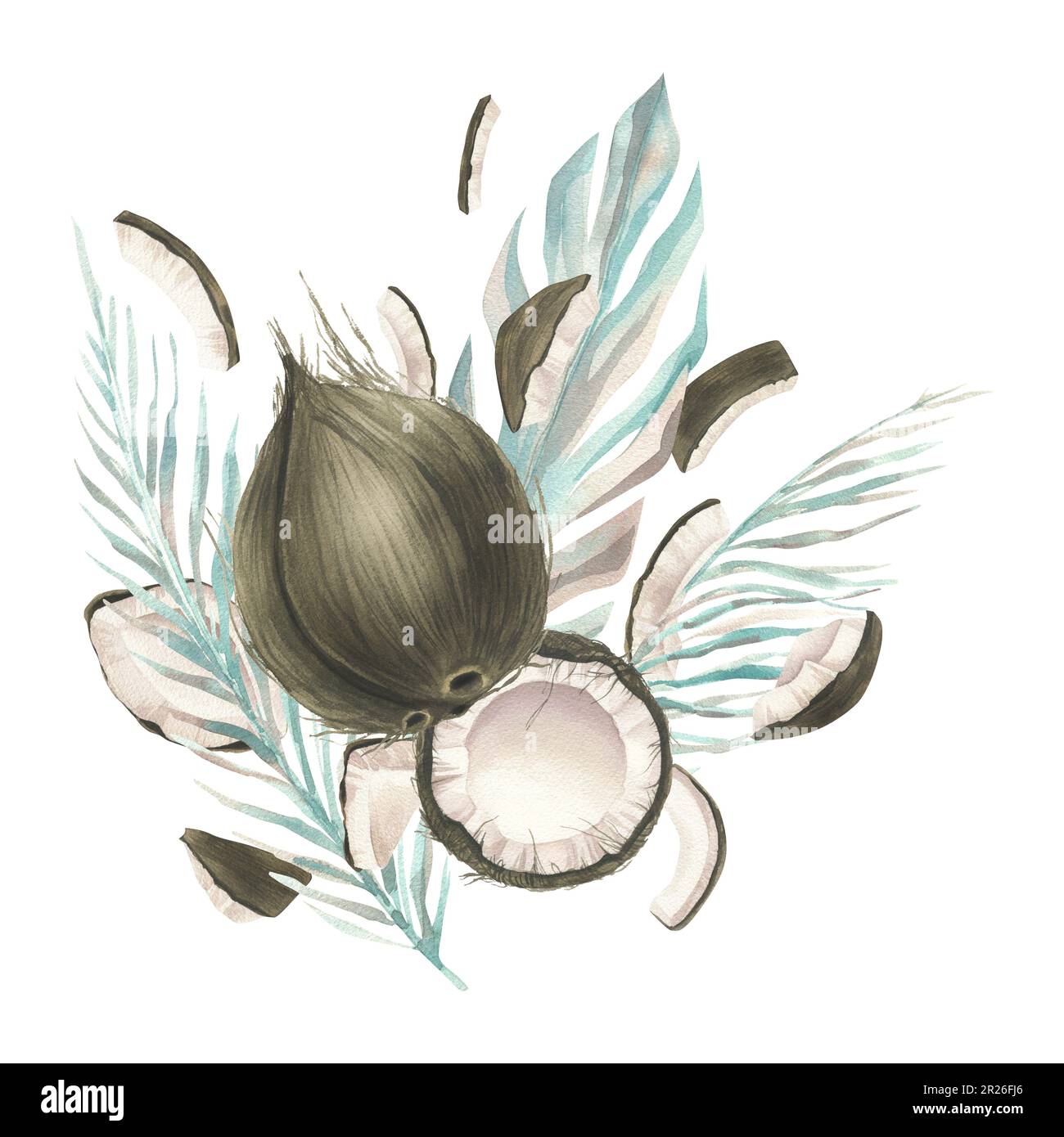 The coconuts are whole and opened with the leaves of tropical palm ...