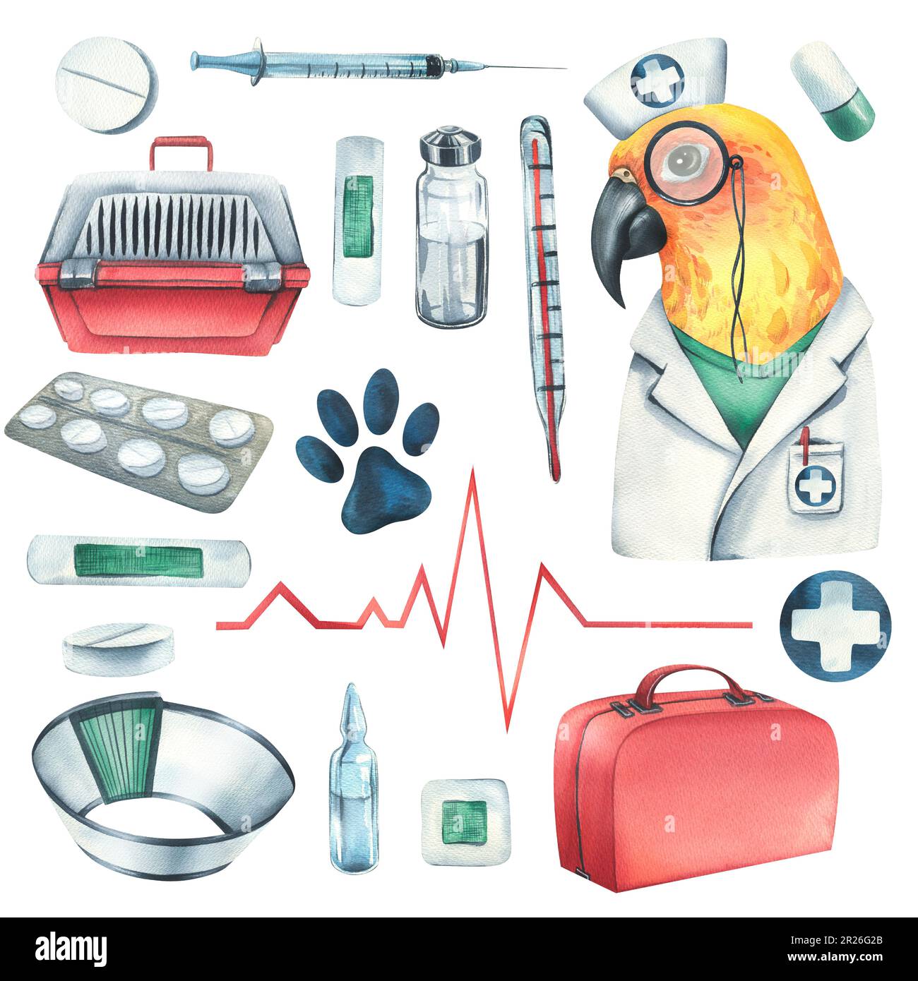 Veterinary set with doctor parrot, pet carrier, medicines. Watercolor ...