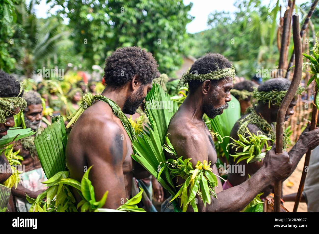 The traditional dances of the indigenous people on Utupua Island in the ...