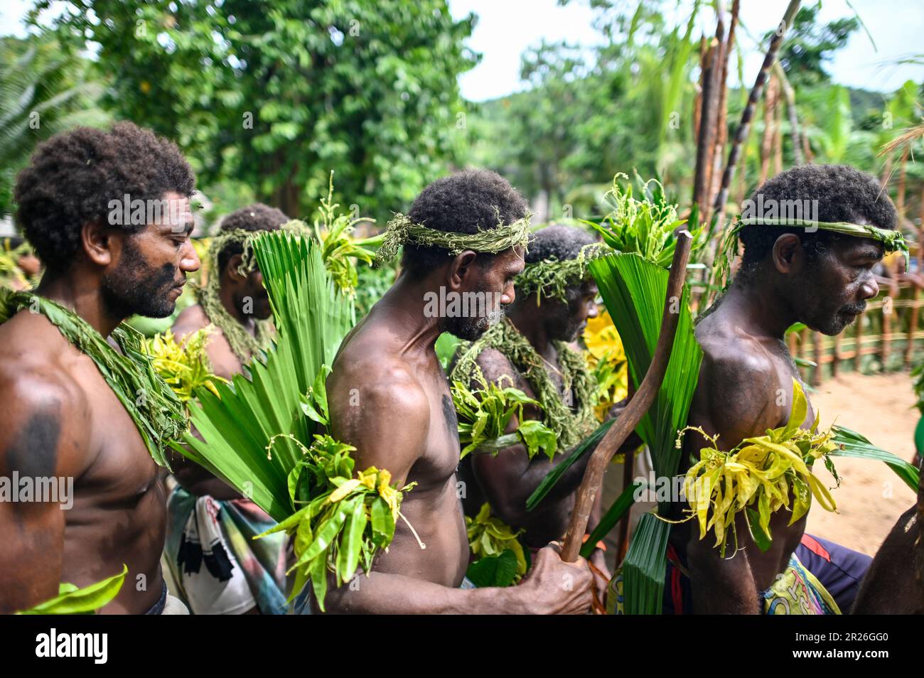 The traditional dances of the indigenous people on Utupua Island in the ...
