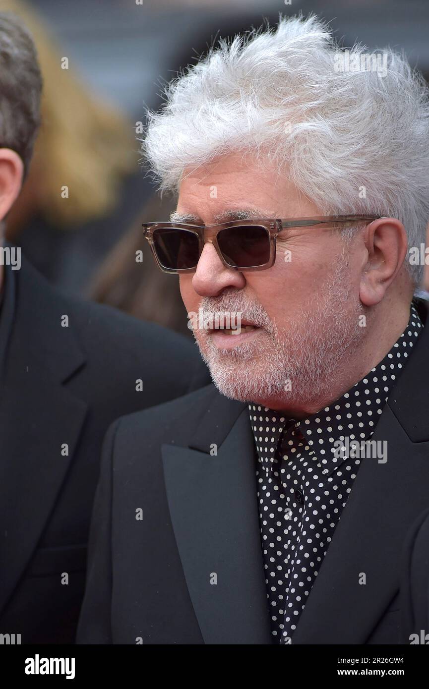 Film director Pedro Almodovar poses on the red carpet at the screening ...