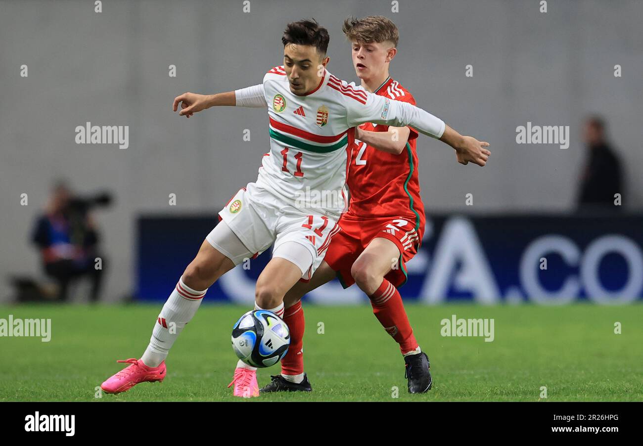 Csaba milan molnar hi-res stock photography and images - Alamy