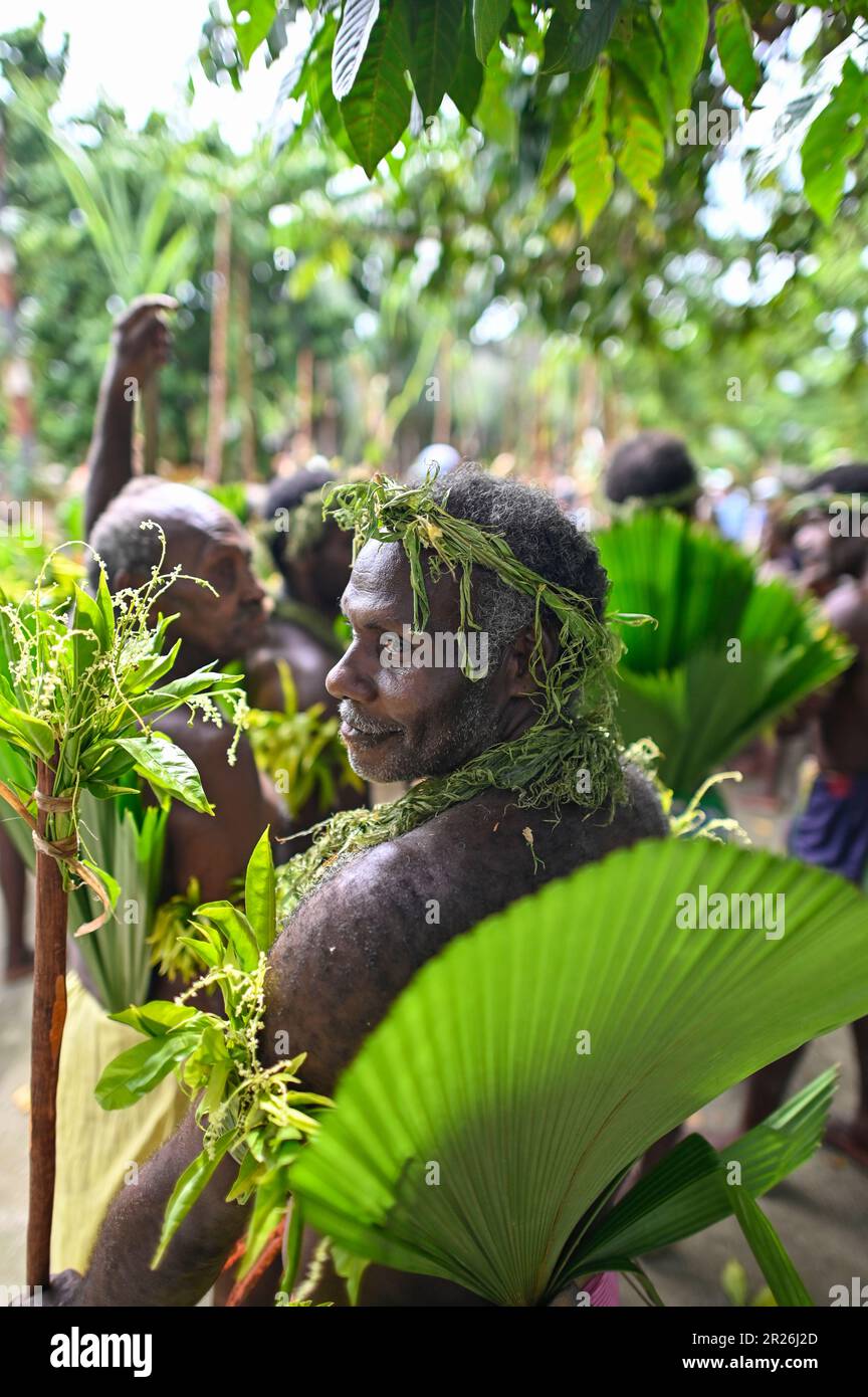 The traditional dances of the indigenous people on Utupua Island in the ...