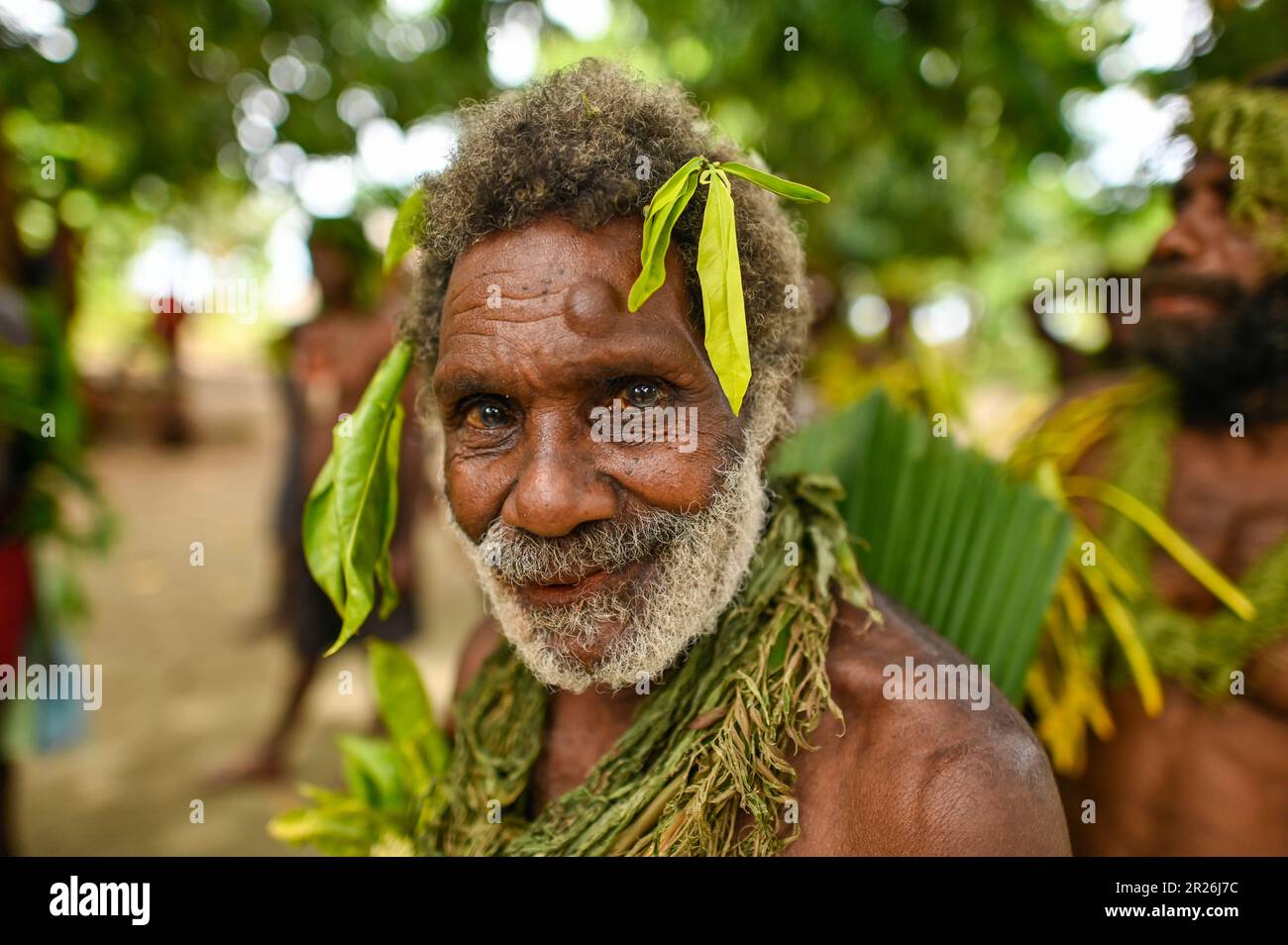 The tradicional indigenous dances of the solomon islands hi-res stock ...