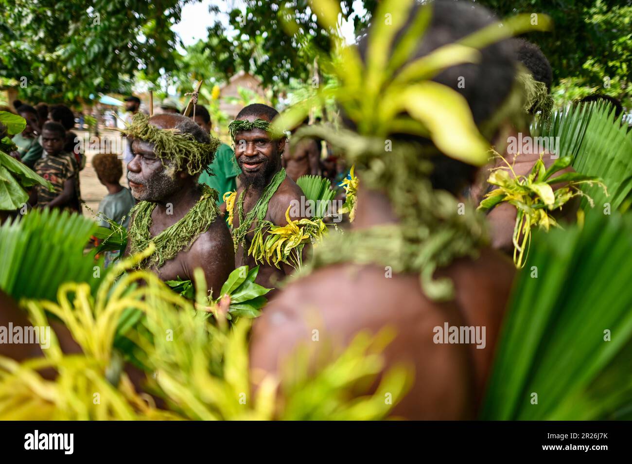 The traditional dances of the indigenous people on Utupua Island in the ...