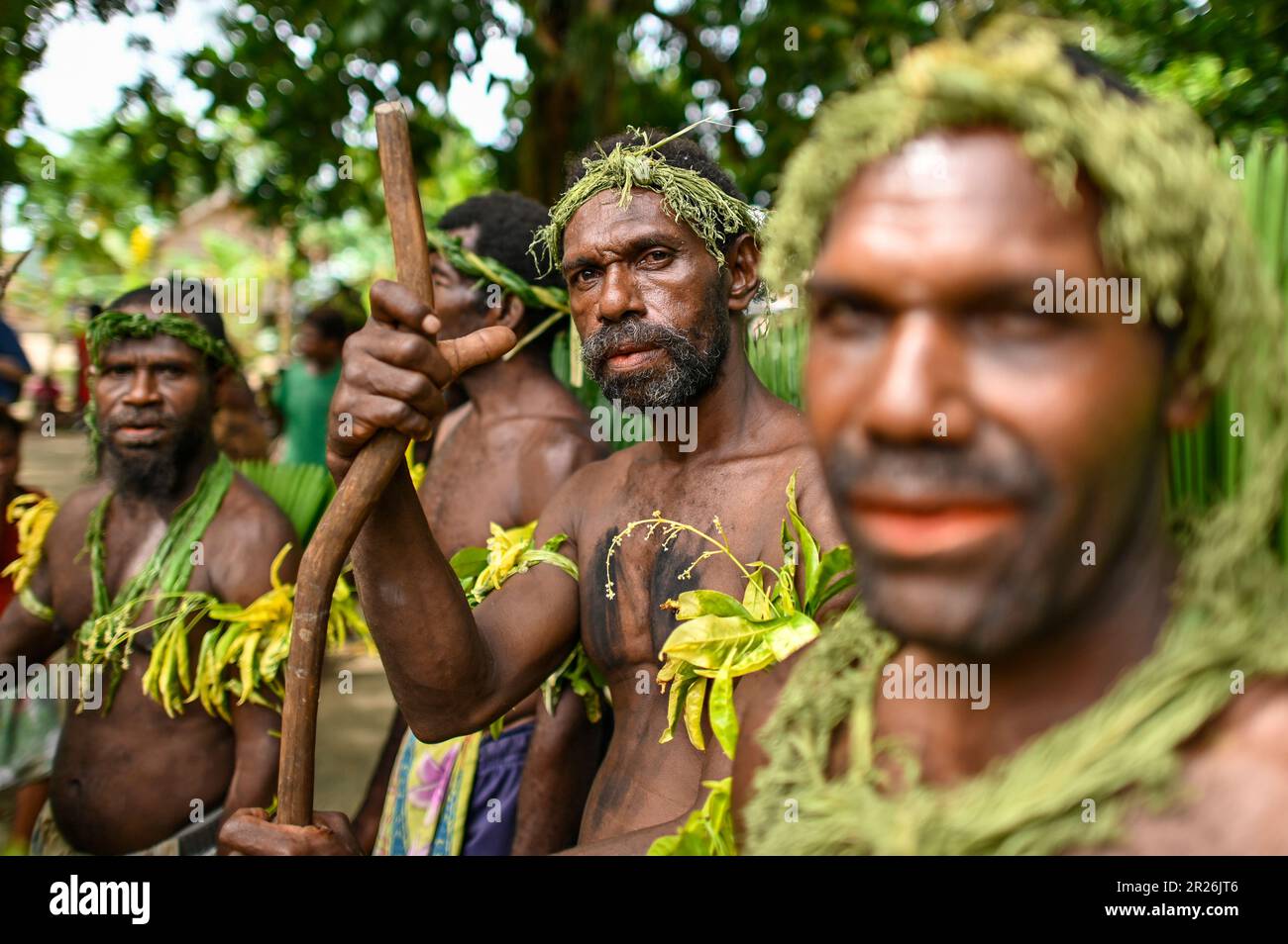 The traditional dances of the indigenous people on Utupua Island in the ...