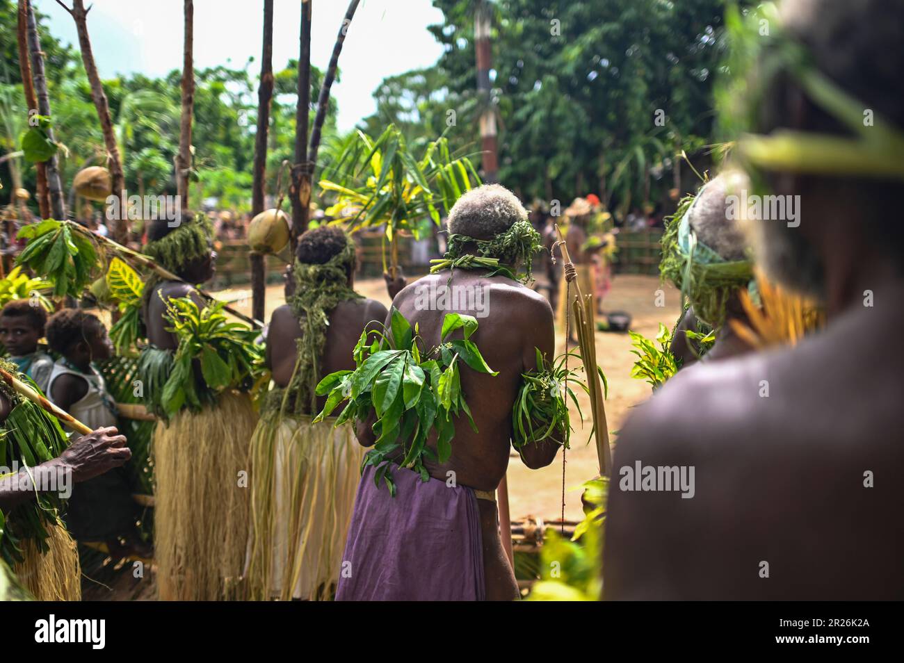 The traditional dances of the indigenous people on Utupua Island in the ...