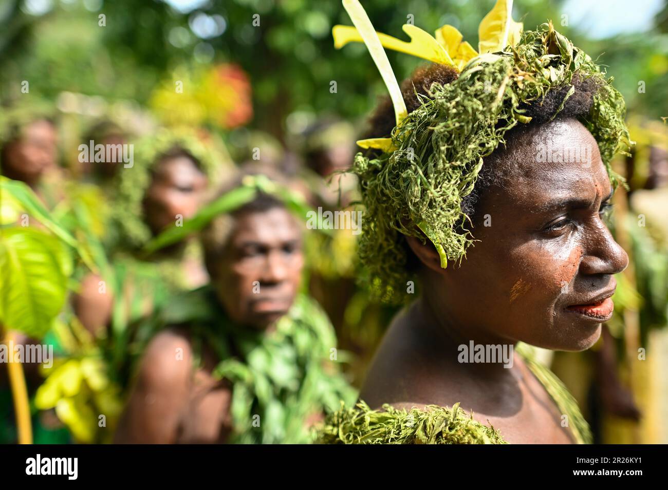 The traditional dances of the indigenous people on Utupua Island in the ...