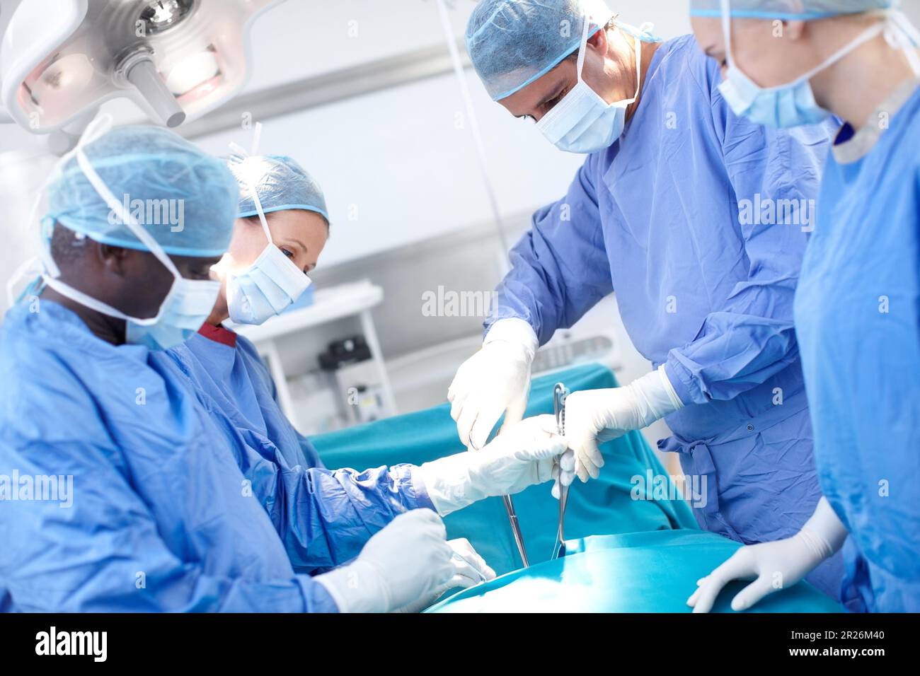 We know everything there is to know about the human body. Group of ...