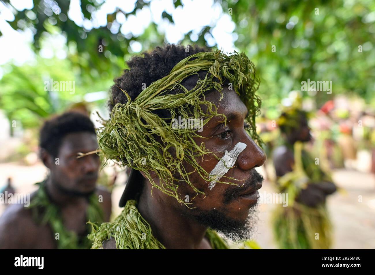 The traditional dances of the indigenous people on Utupua Island in the ...