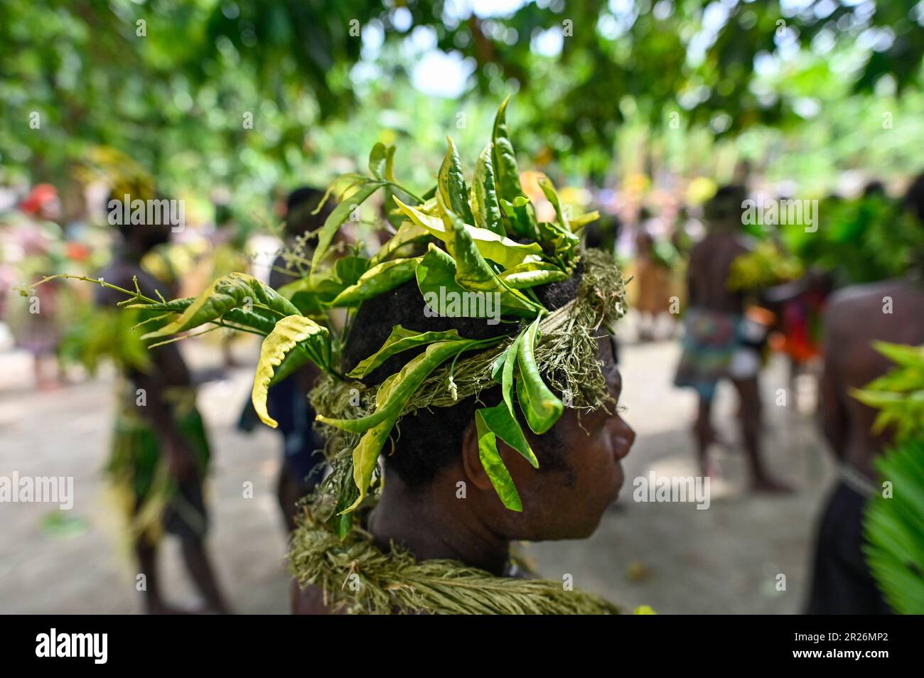 The traditional dances of the indigenous people on Utupua Island in the ...