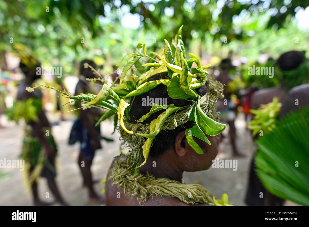 The traditional dances of the indigenous people on Utupua Island in the ...