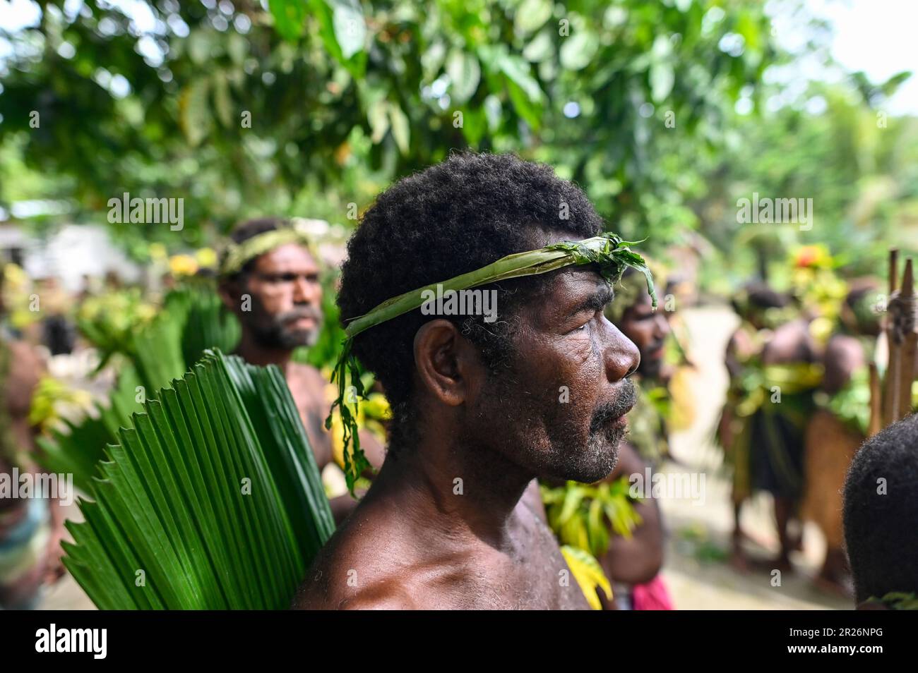 The tradicional indigenous dances of the solomon islands hi-res stock ...