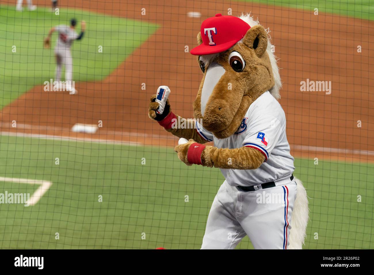 ARLINGTON, TX - MAY 16: Texas Rangers mascot Captain throws t shirts ...