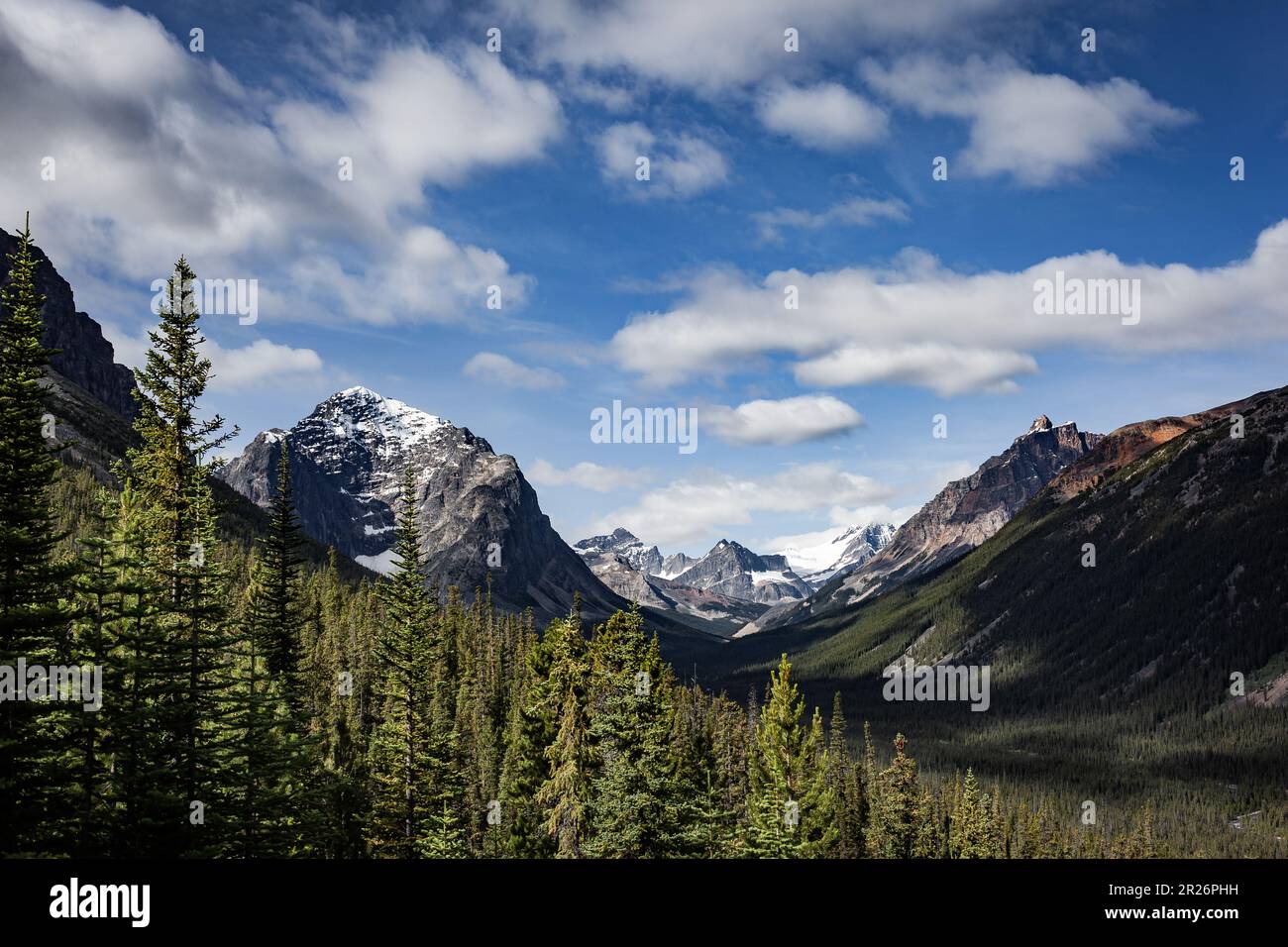 Mountain range in the state of Alberta in Canada. Slopes of fir forests ...