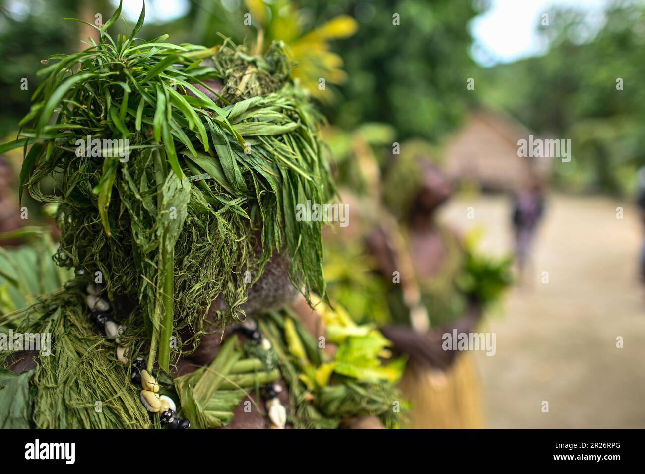 The traditional dances of the indigenous people on Utupua Island in the ...