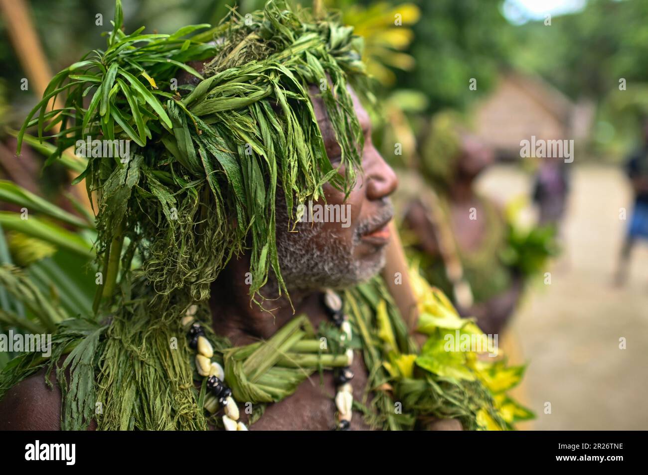 The traditional dances of the indigenous people on Utupua Island in the ...