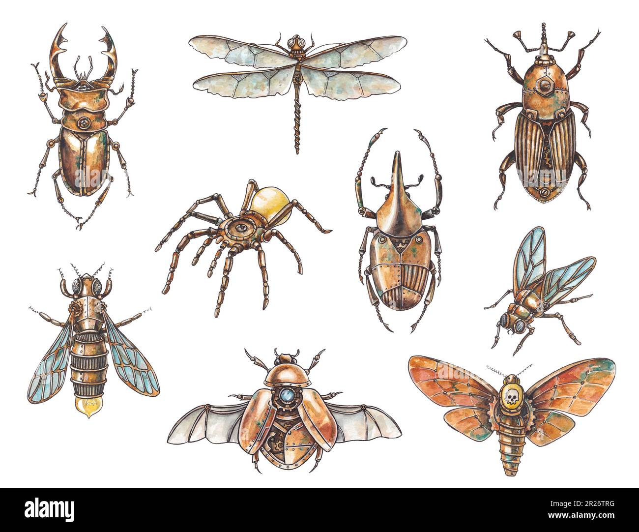 Set of steampunk insects isolated on white background. Watercolor hand ...