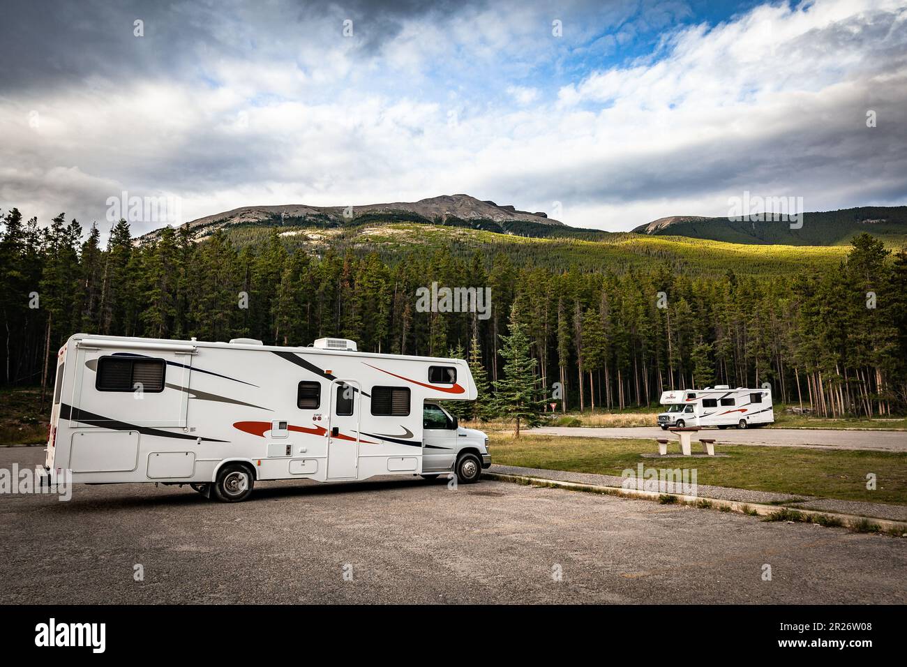 Parking area with the background on a sunny pine forest, with the ...